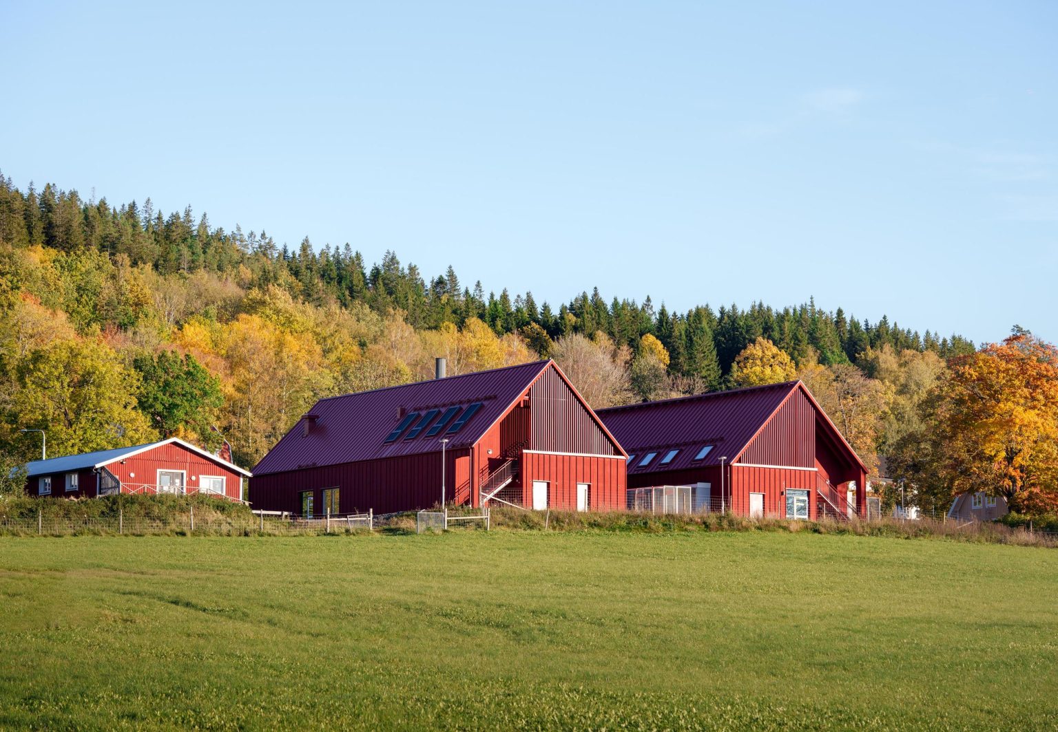 Naturbruksgymnasium – Rödfärgspriset